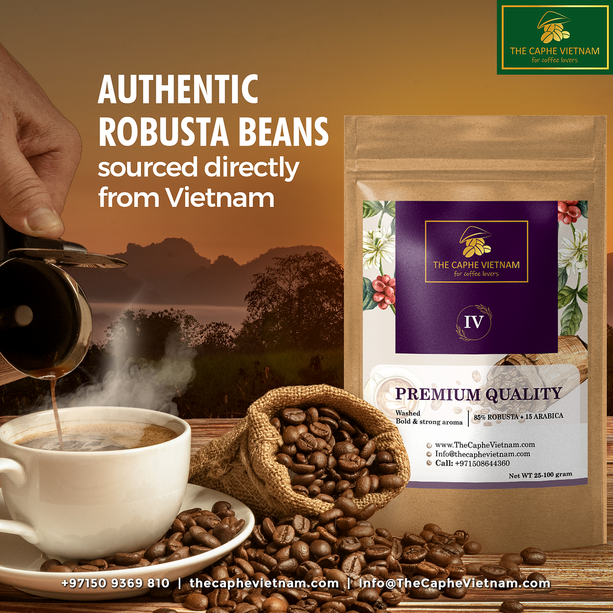 WHY ARE THE CAPHE VIETNAM BEANS DIFFERENT THAN OTHERS? | by ...