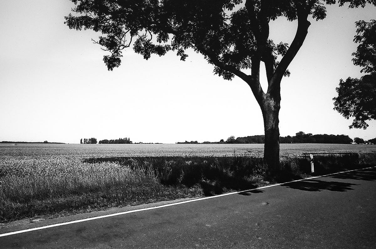 Copying the Masters of Italian Realism | by Dirk Dittmer | Full Frame ...