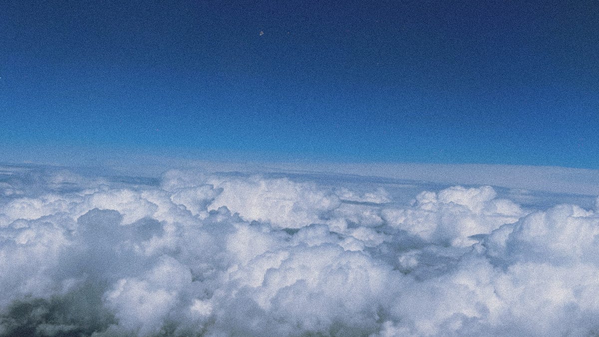 Blue Shades - zeitgeist - Medium