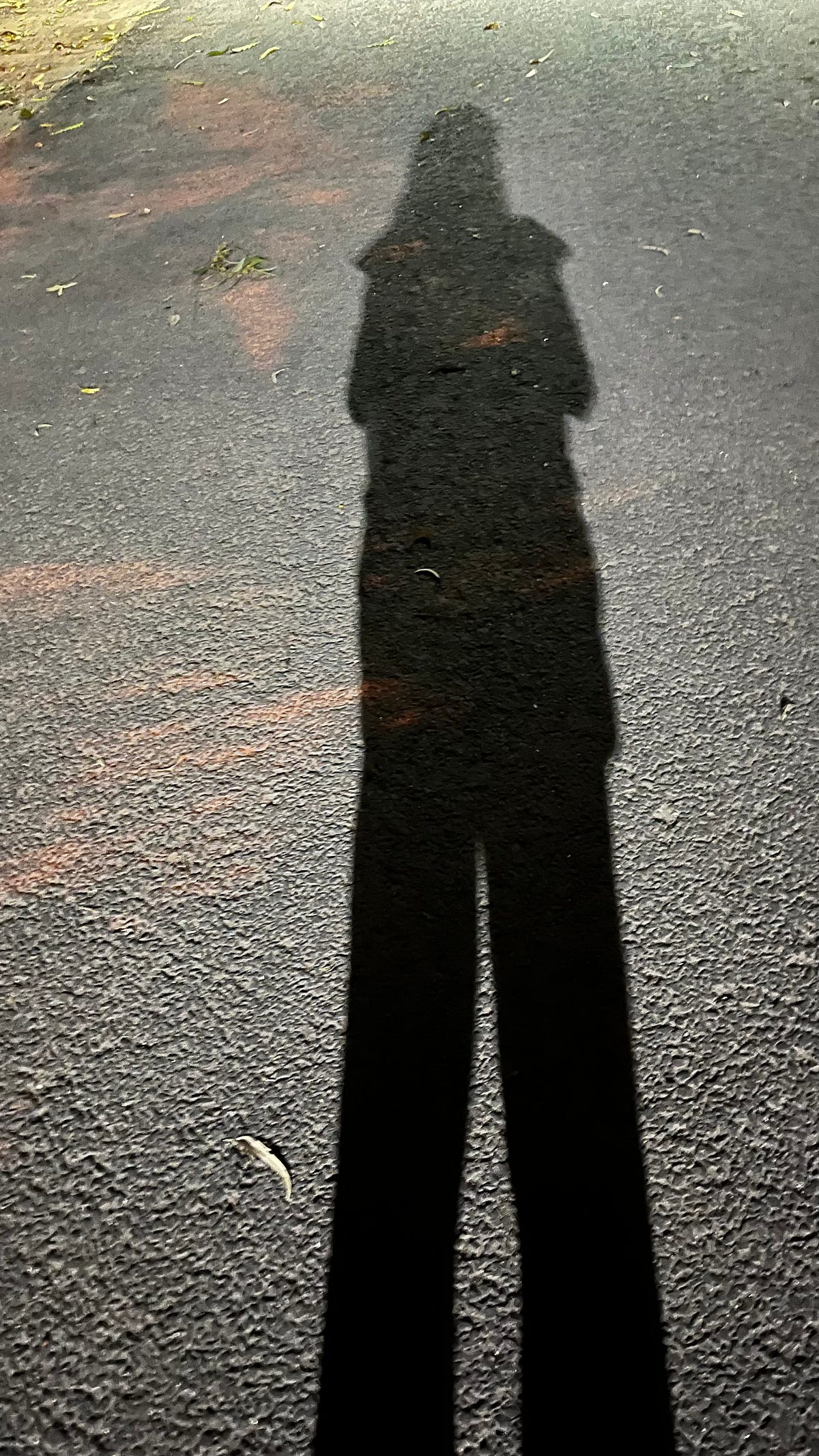 My Shadow Is Double My Length. September Six Word Photo Story… | by Dr ...