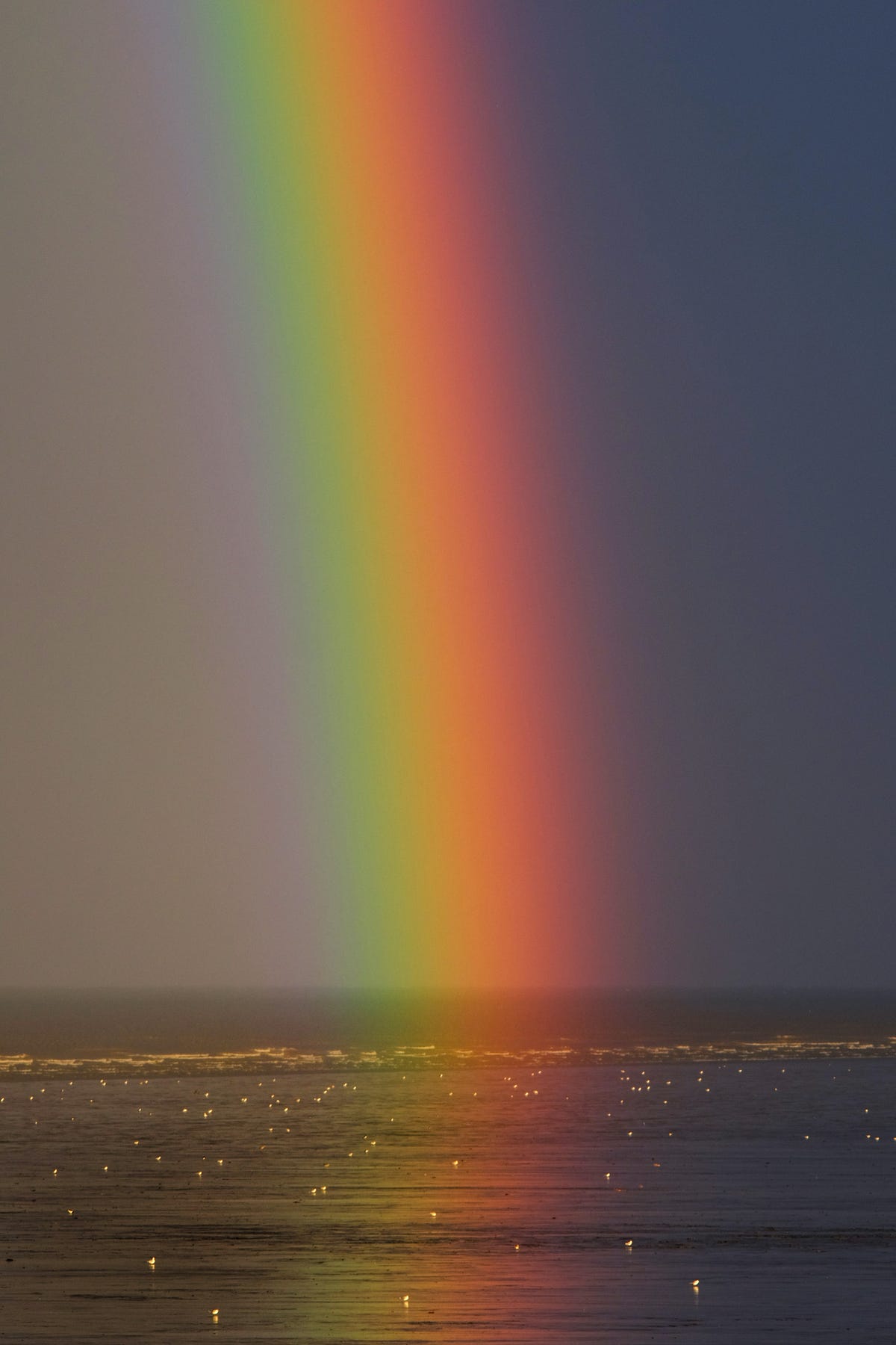 The Unseen Rainbow. one line poem | by Priyanka Srivastava | Chalkboard ...