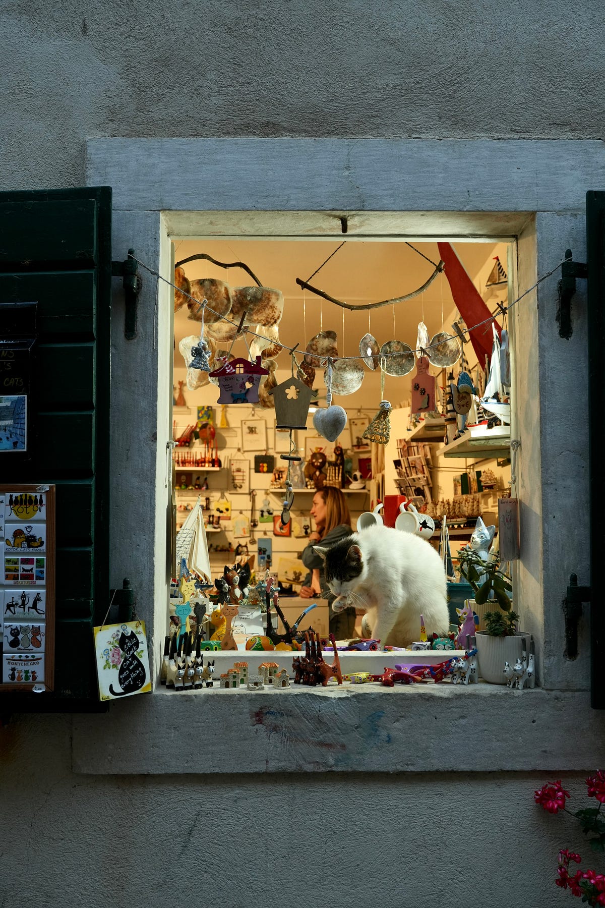 Travel | Not really a Fjord, but a real cat city | by Yulanda Huang ...