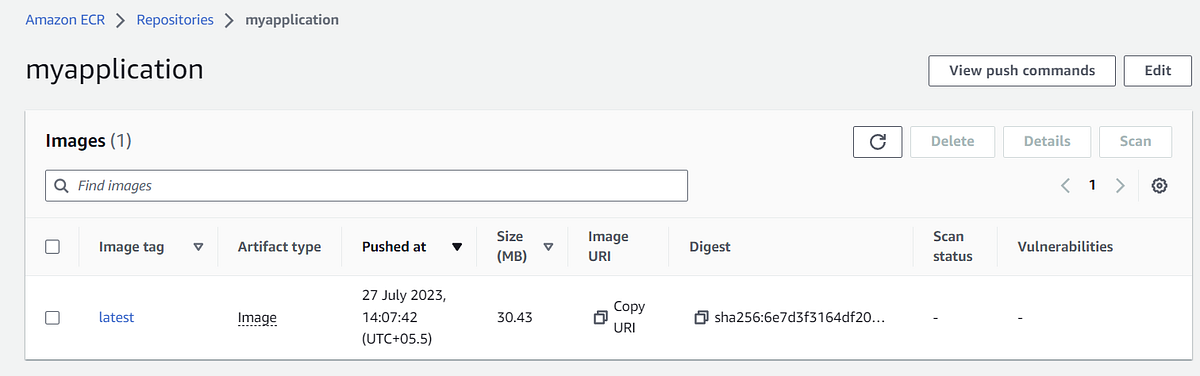 Establishing a Container Repository in Amazon Web Services (AWS): An In ...