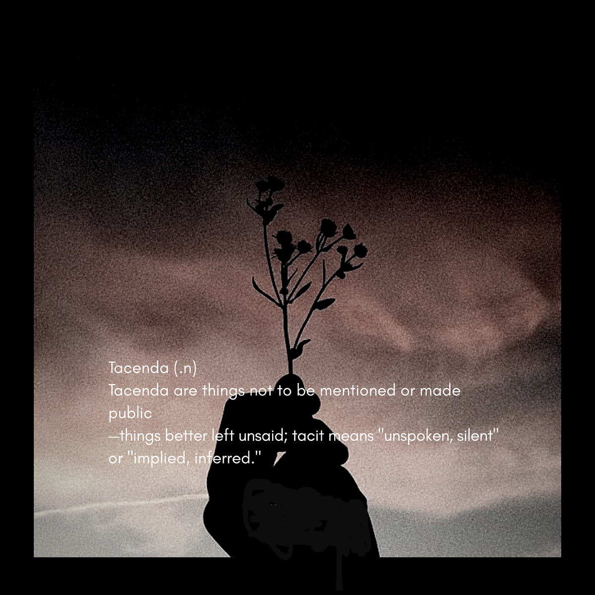 Tacenda. Never knew loving someone was this… | by Azasahikari | Medium