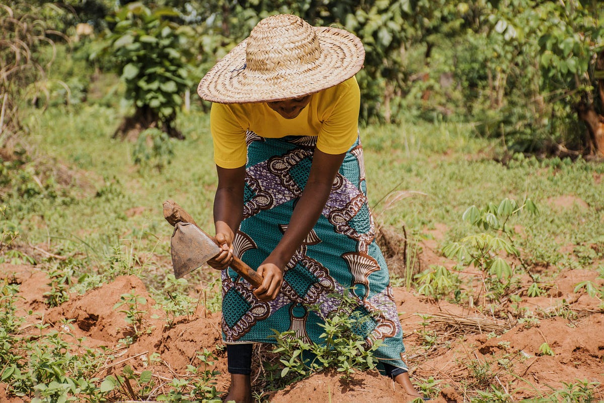 Women Inclusive Rural Development — Challenges, Opportunities, and The ...