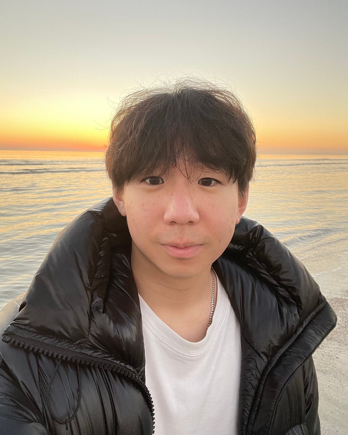 51–262 Project 1. Introduction | by Aidan Hong | Medium