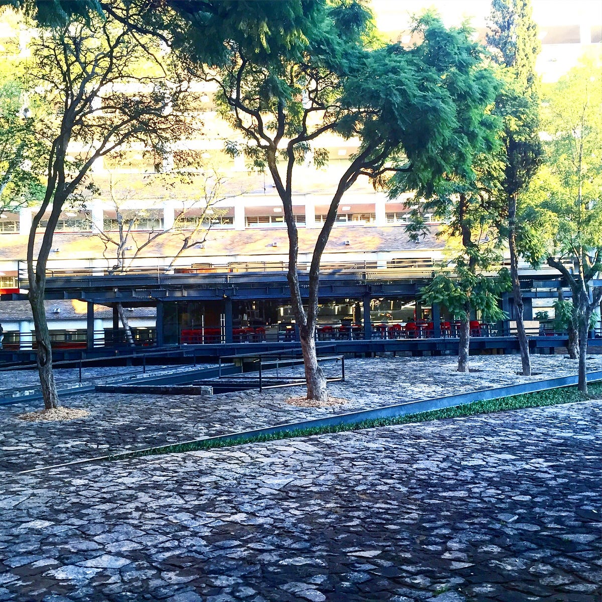 Nueva Cafetería en la Facultad de Medicina de la UNAM. | by Sergio ...