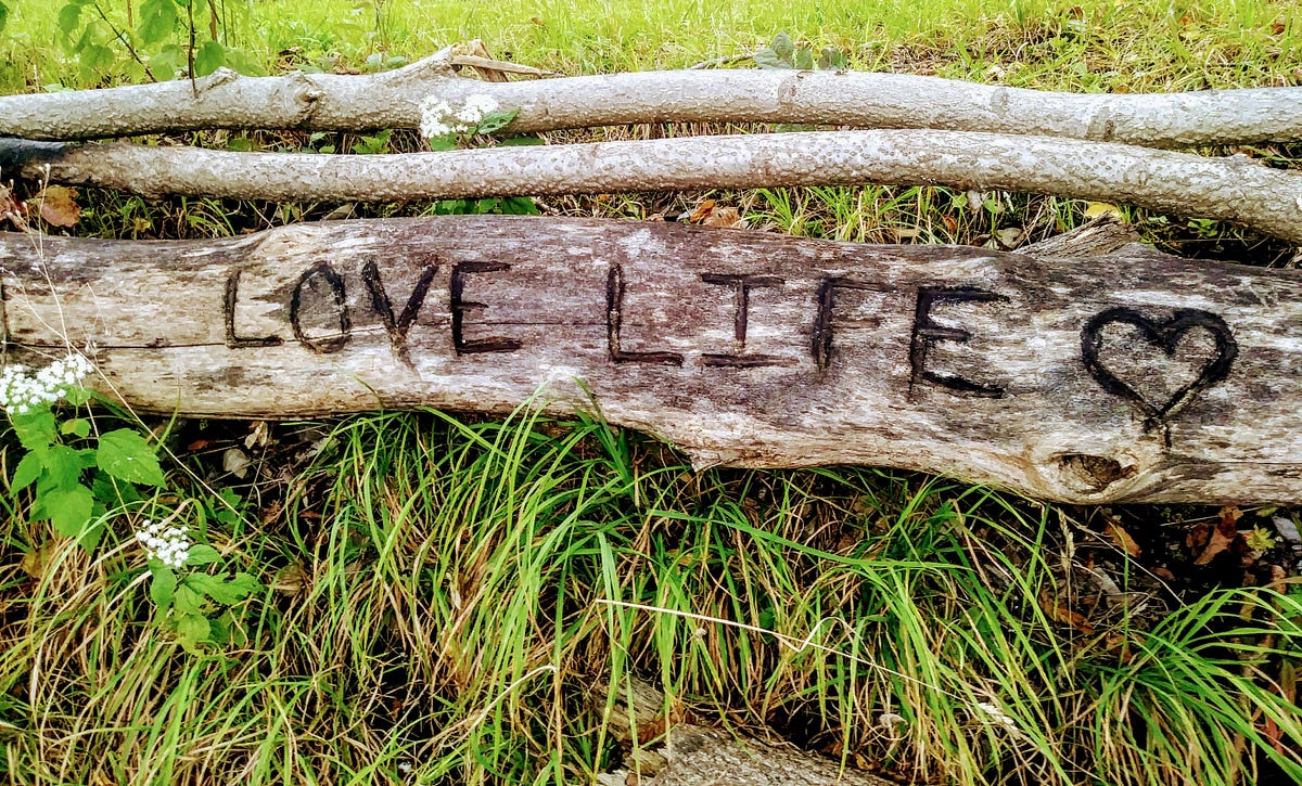 Life Is Short. Life is short. Very short indeed. | by Taffy’s Notes ...