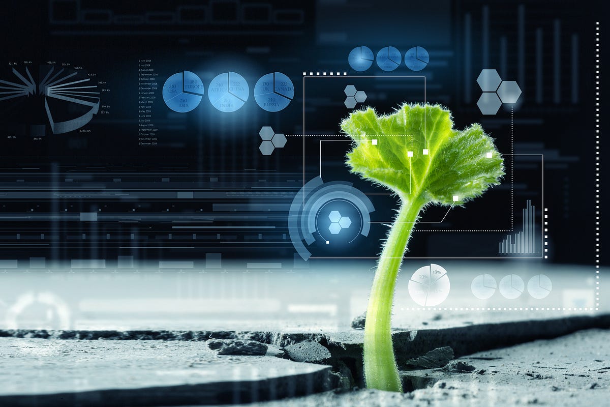 Blockchain to revolutionize commodity trading in Africa | by Femi Royal ...
