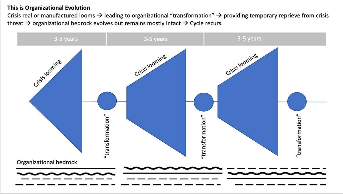 Organizational Evolution or Tectonic Shift? | by Heidi McCulloch | Medium