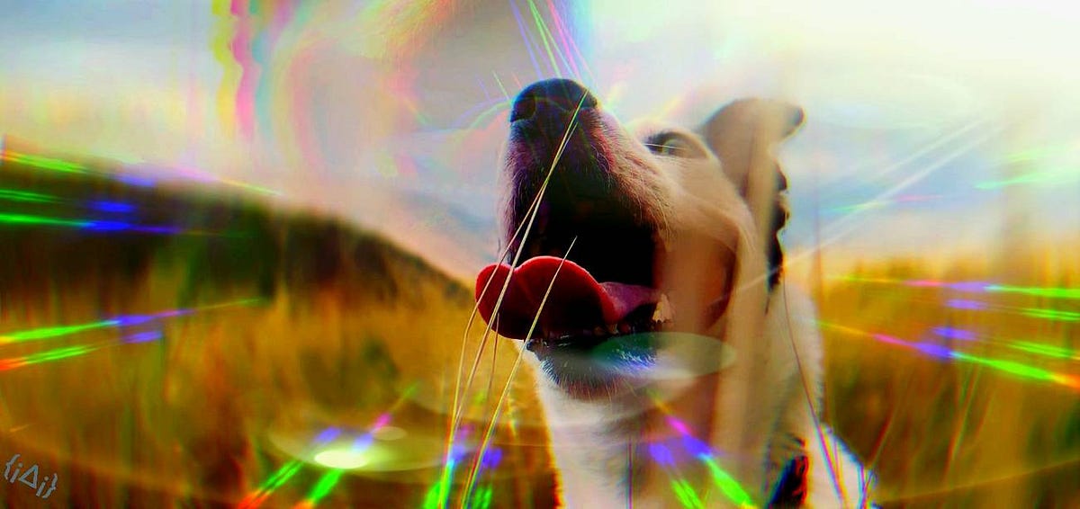 ~~~LAUGHiNG~WiTH~LiGHT ...