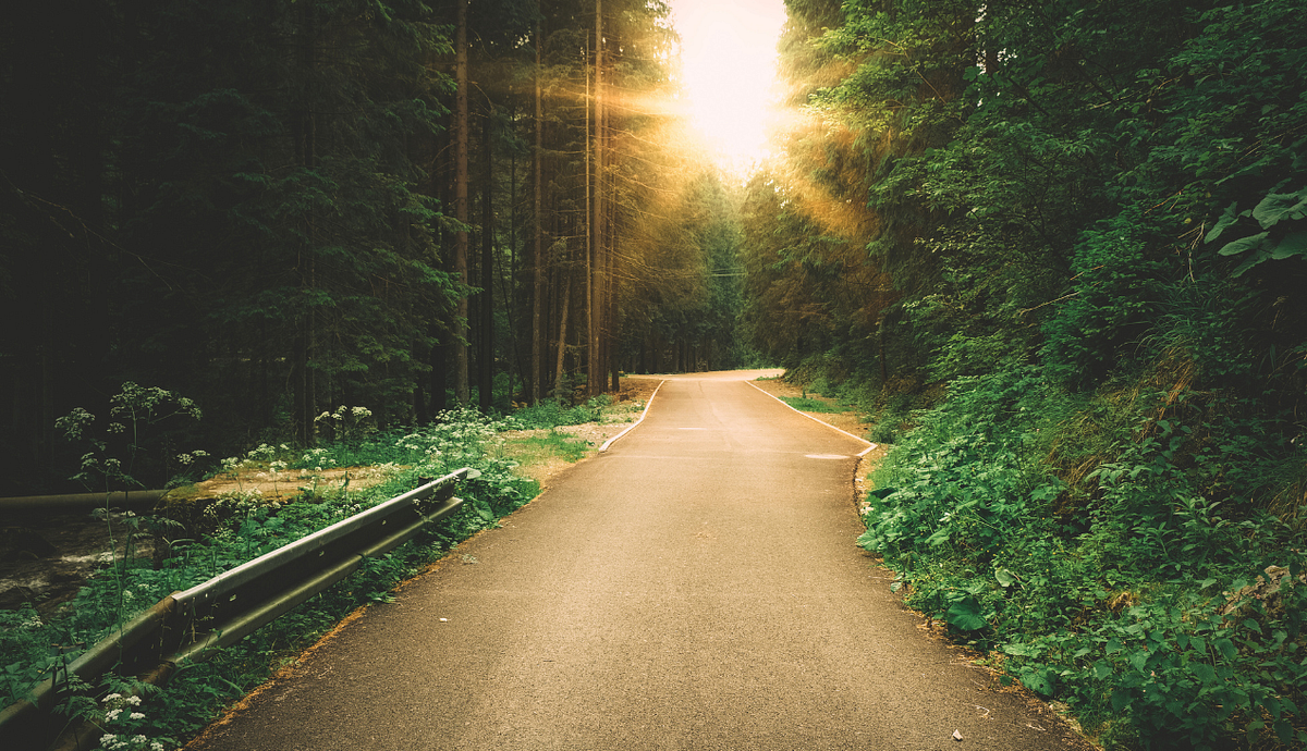 How to Pick a Path When You Feel Lost | by Saima Akther | No Time
