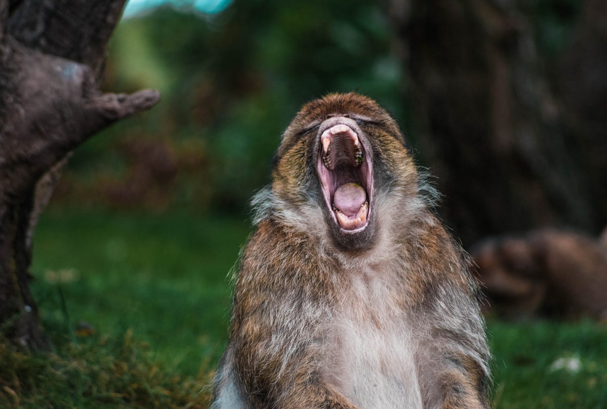 Why Overreaction Is Your Perfect Chance To Transform | by Francesco ...