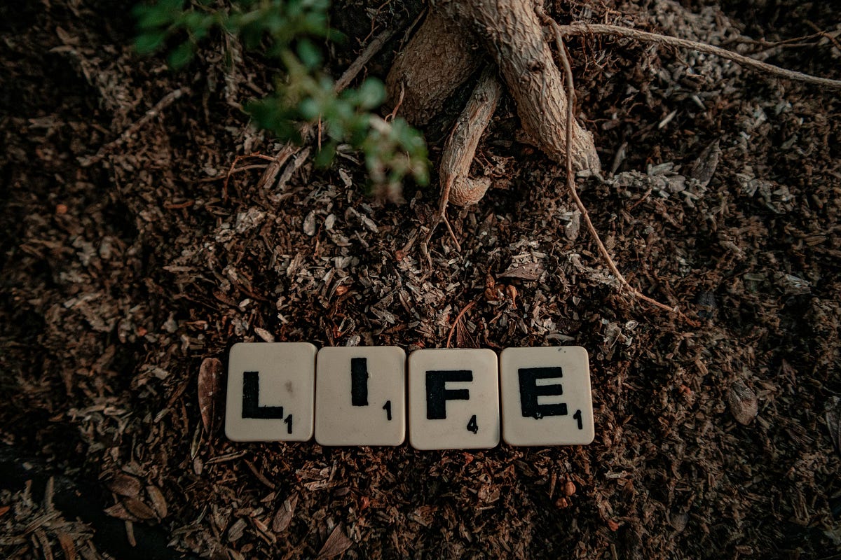 The Futility of Life. Life, in its myriad complexities, often… | by ...