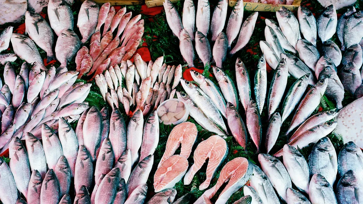Discover the Freshest Catch at Our Fish Market: Your Premier ...