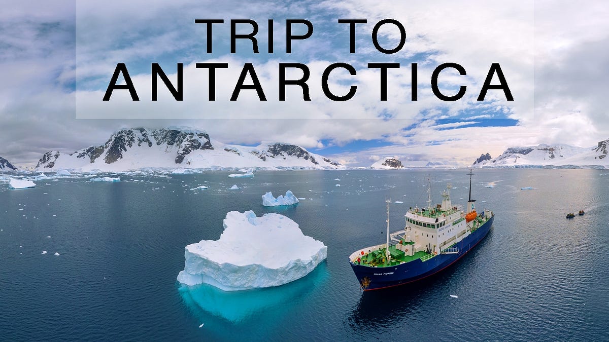 Top 5 Activities That You Can Do In Antarctica | by Kenneth Brandl | Medium