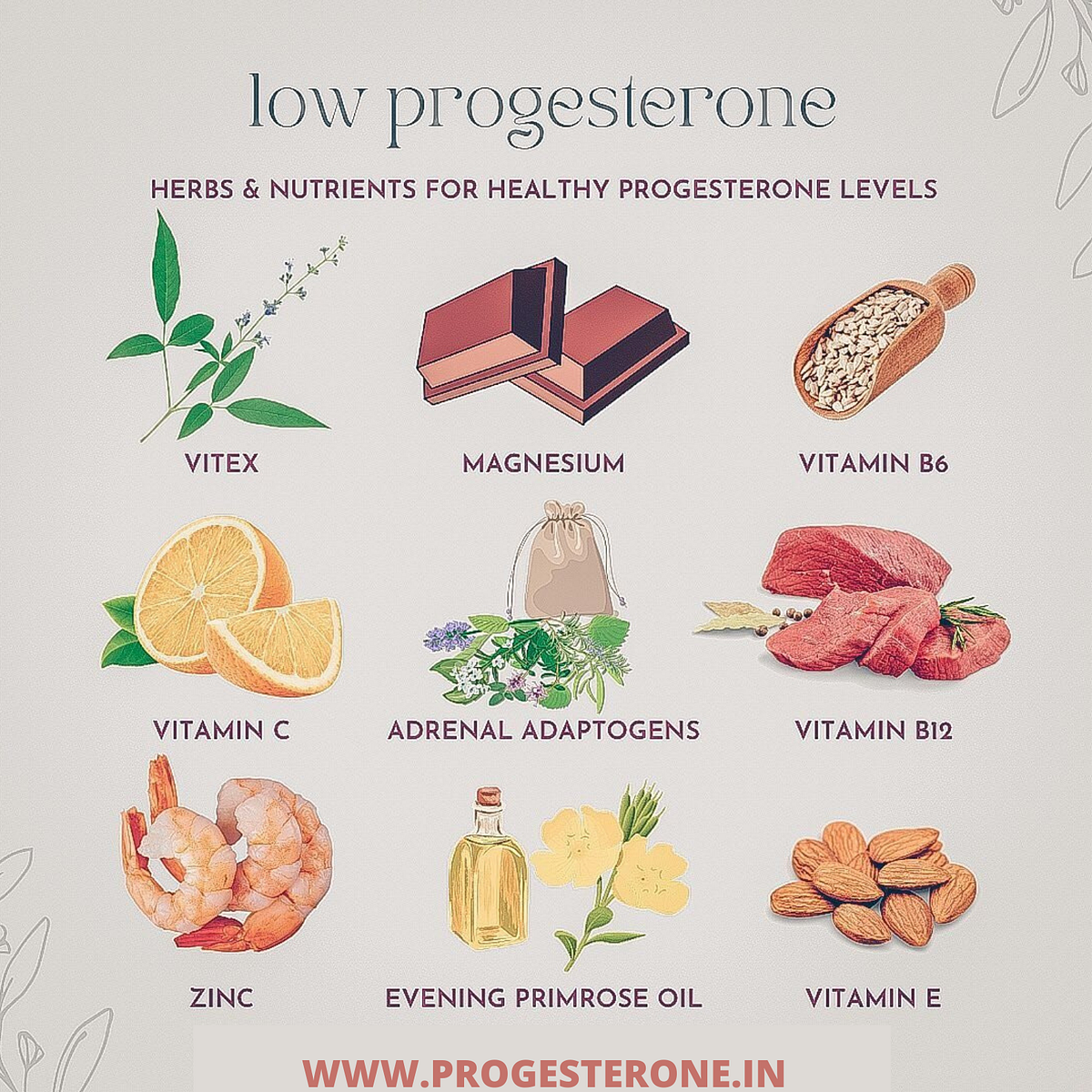5 Nutrients to Boost Progesterone Naturally | by Progesterone | Medium
