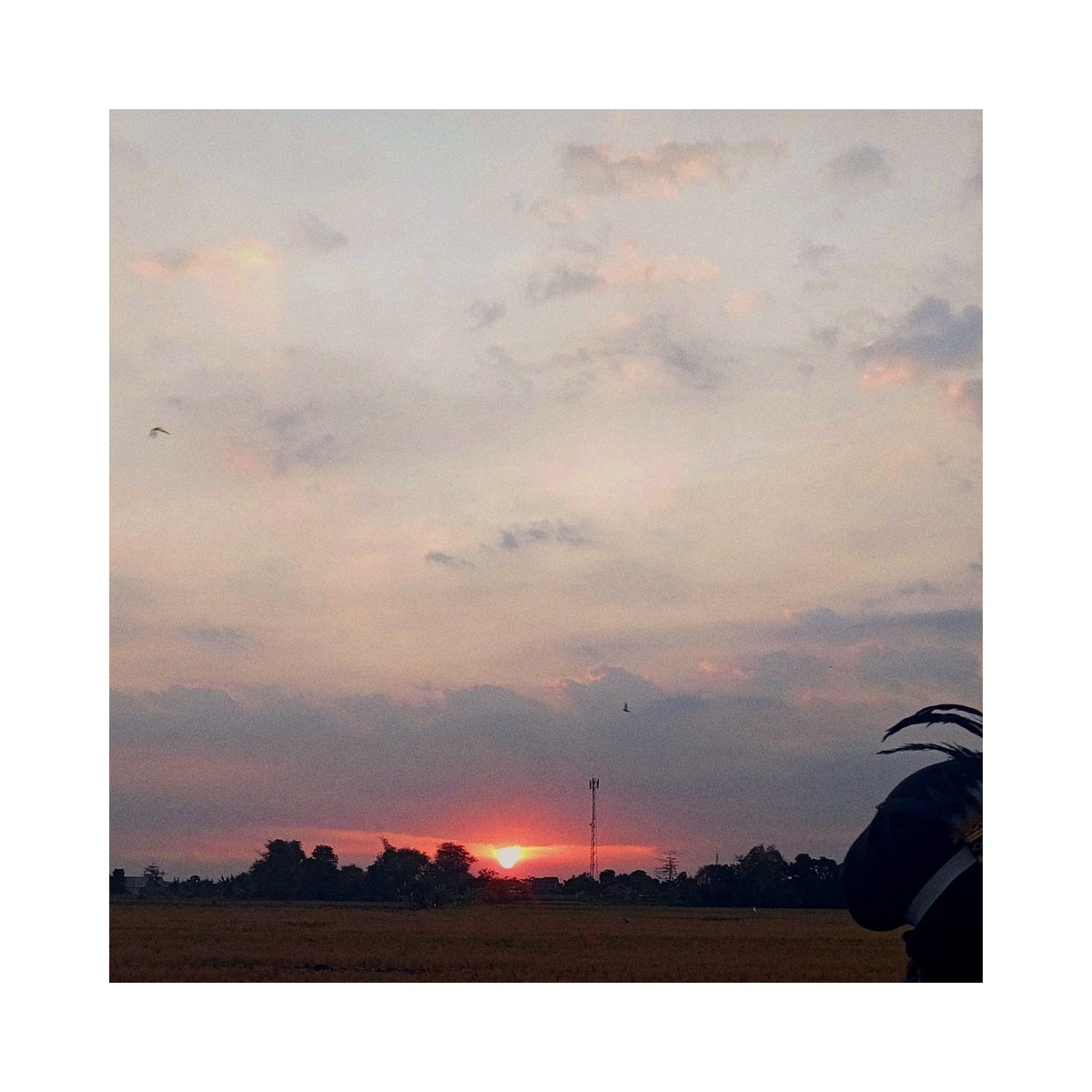 I love the sky, the clouds and the sun. It’s a perfect combo to end the ...