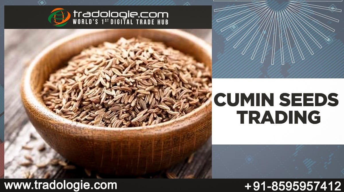 Cumin Seeds Trading - Bilalabbasi Tradologie - Medium