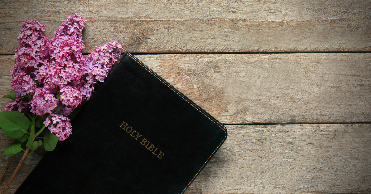 To Jesus, Blood Isn’t Thicker Than Water | by About That Godly Life ...