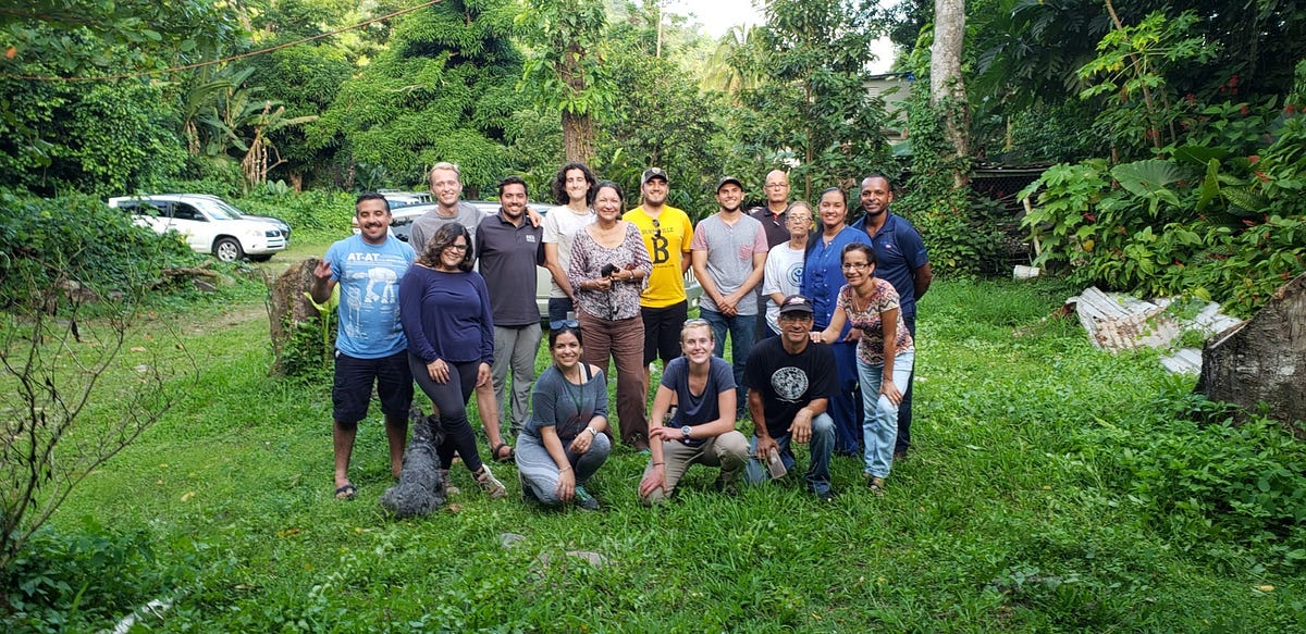 A Lime for Your Time. 8/9/2019 | by EWB Puerto Rico | Medium