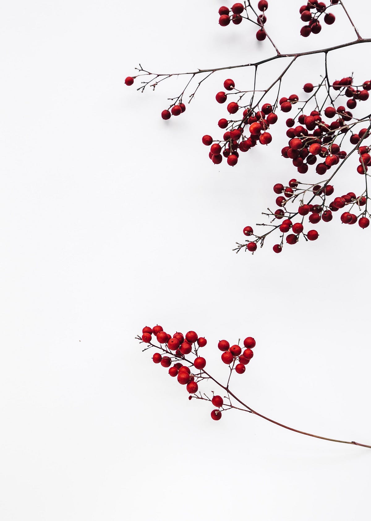 When Nature is Speaking. Will you listen? | by Nhien Nhien | The ...