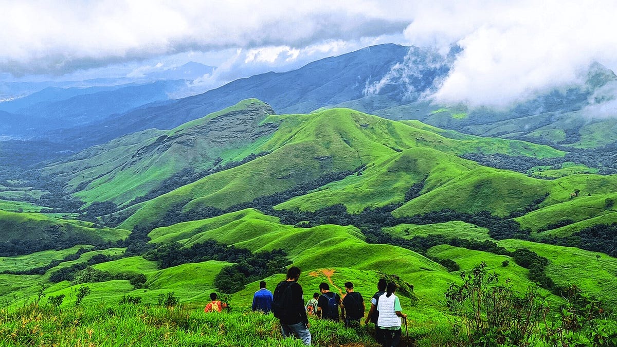 Unwind in the Embrace of Nature: Chikmagalur Forest Stays - Culture ...