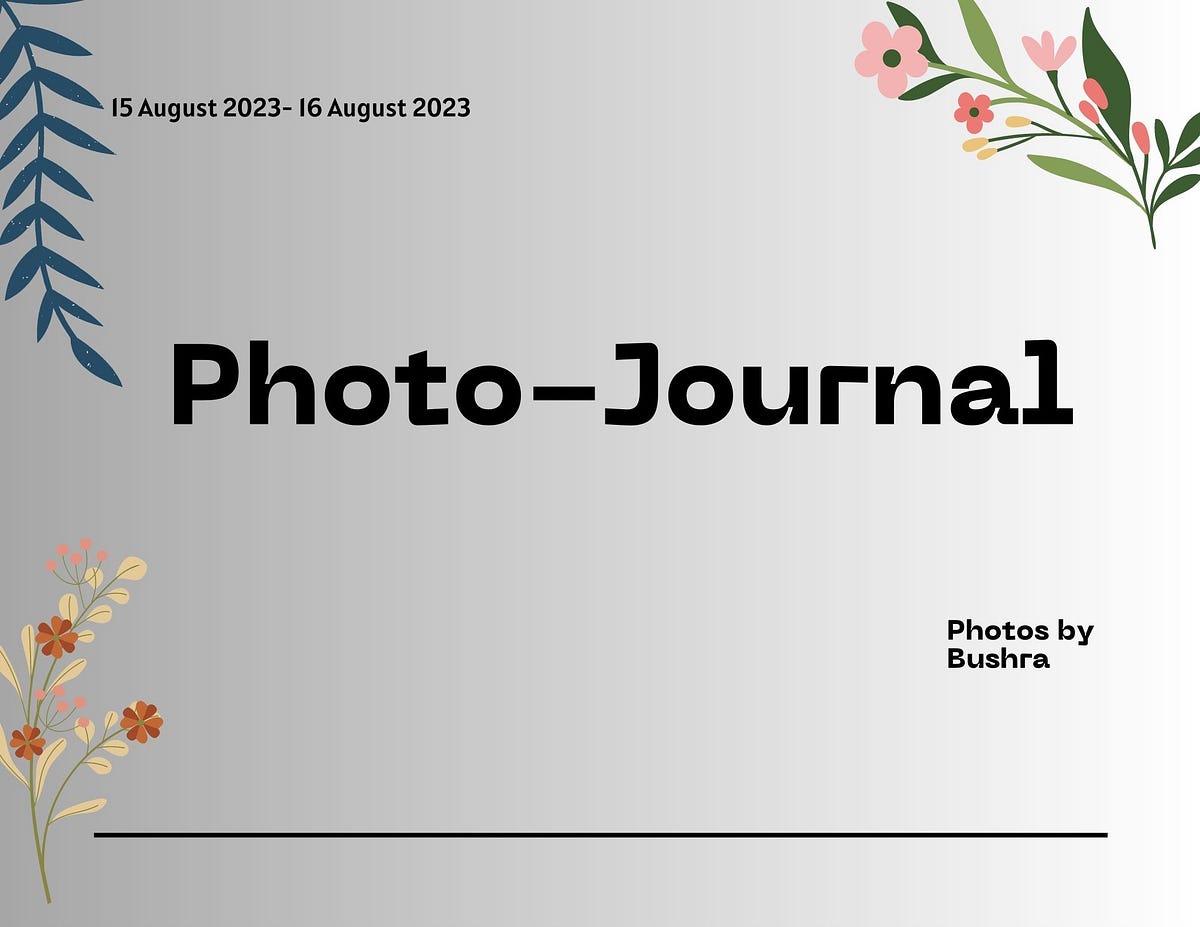 Photo Journal - Bushra Khurshid - Medium
