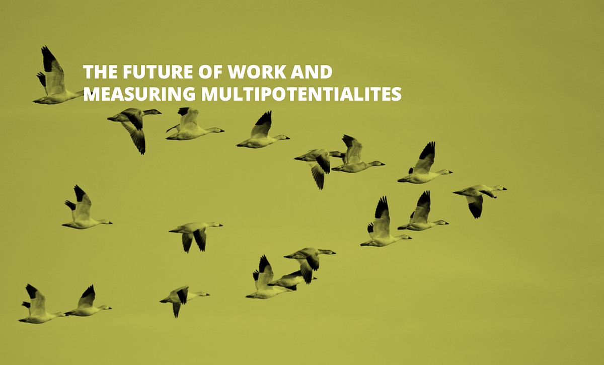 The Future of Work and Measuring Multipotentialities | by Anupam Kundu ...