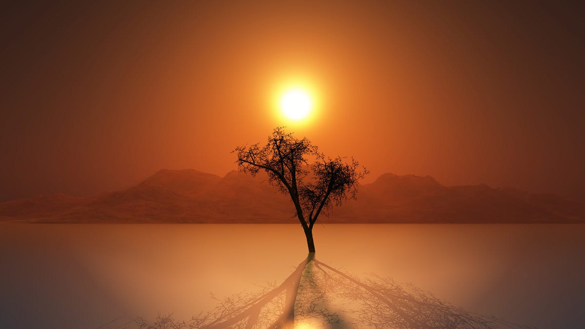 Quantum Physics and Buddhism Leading You to Your Salvation/Nirvana ...