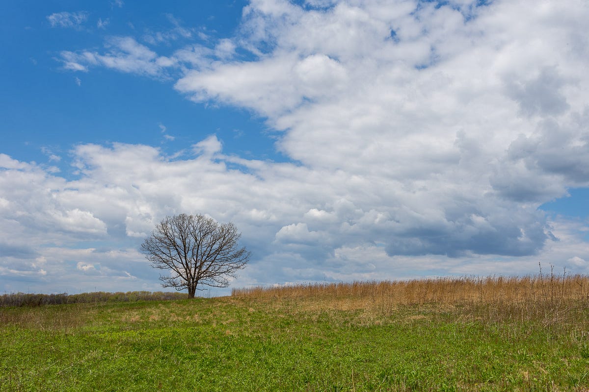 What Gets Me Through. Being in Nature Lights Me Up | by Lauri Novak ...