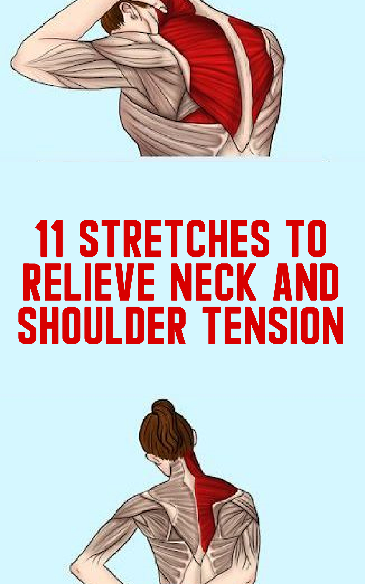 11 Stretches to Relieve Neck and Shoulder Tension - Irmasfrancis - Medium