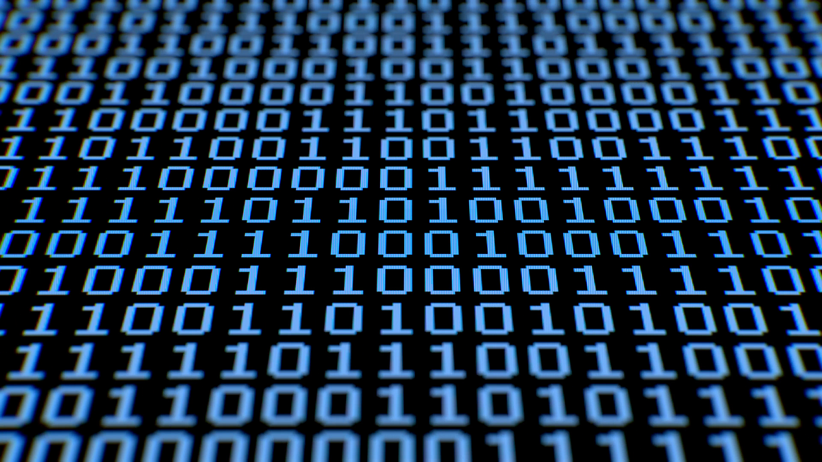 Proposal to Brute Force Artificial Intelligence | by Adam Williams | Medium