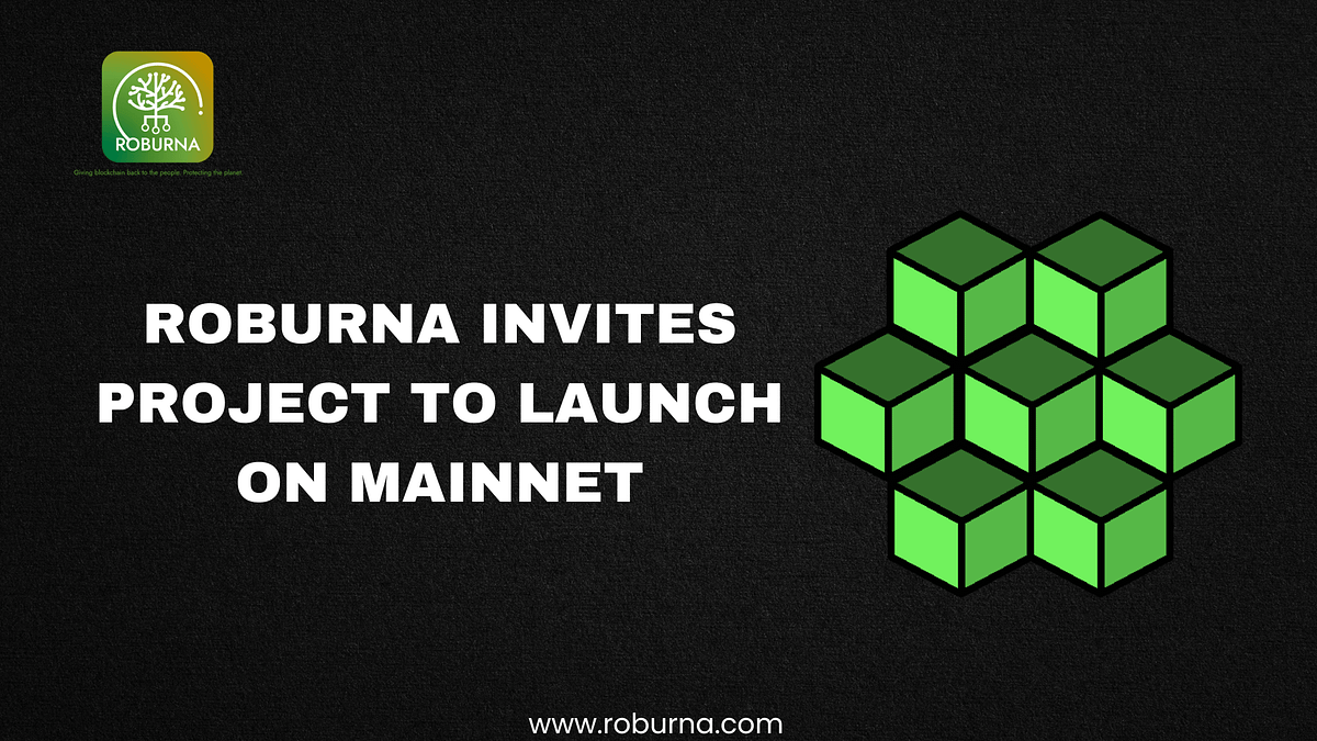 Invitation to Project Builders: Launch Your Project on Roburna Mainnet | by Roburna Official ...