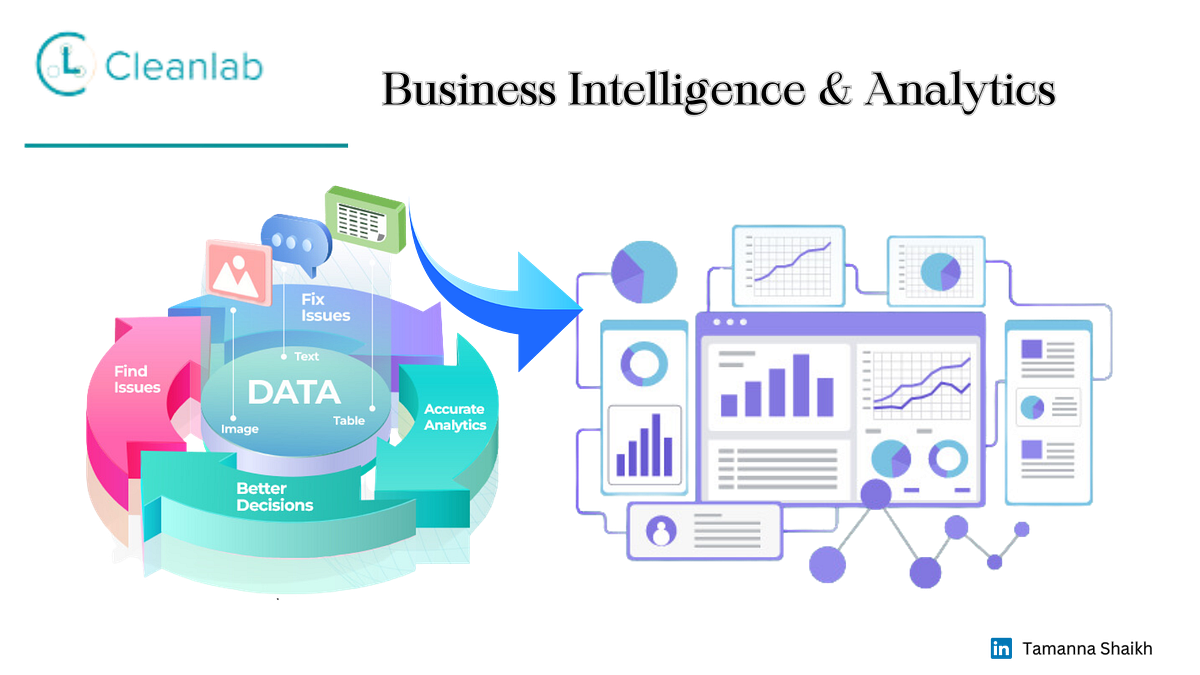 How to Use Cleanlab Studio for Business Intelligence and Analytics | by Tamanna shaikh | Dec ...