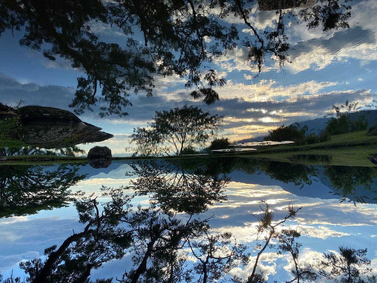 Mira de nuevo. Lo que miras te mira. Aquello en lo que… | by Sara Jaramillo Klinkert | Medium