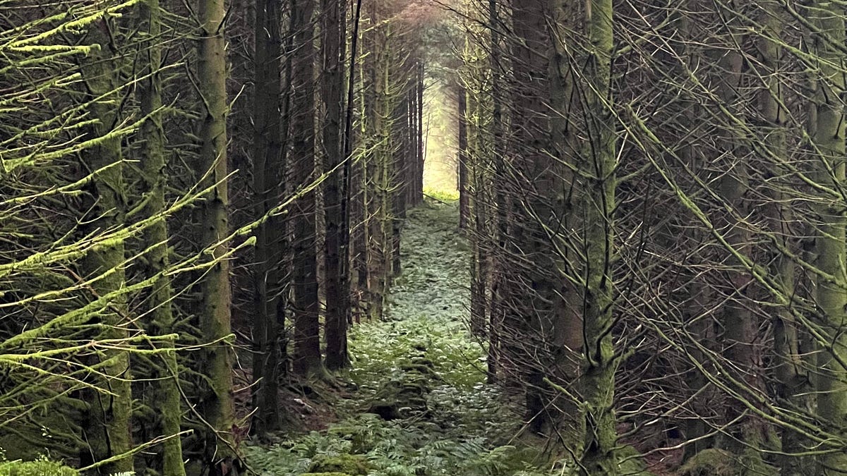 When the Magic Fades: Midlife Clarity After Illusion | Medium