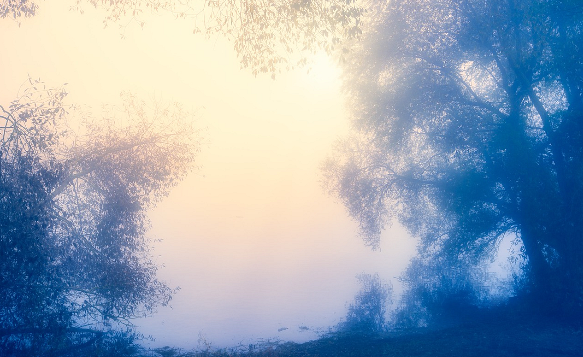 The Moment Where True Work Begins | by Deborah McNamara | Know Thyself ...
