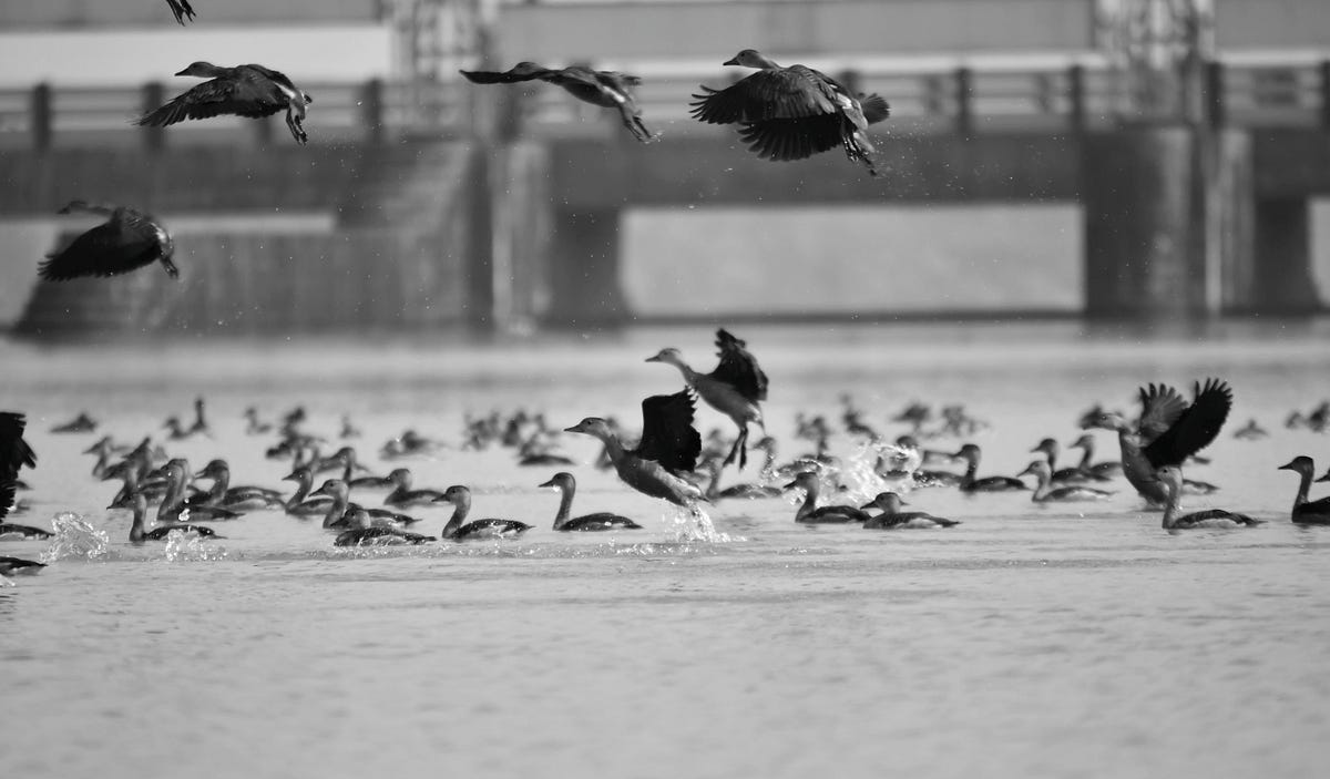 Become a Good Photographer: Unleash Your Creative Vision | by ...