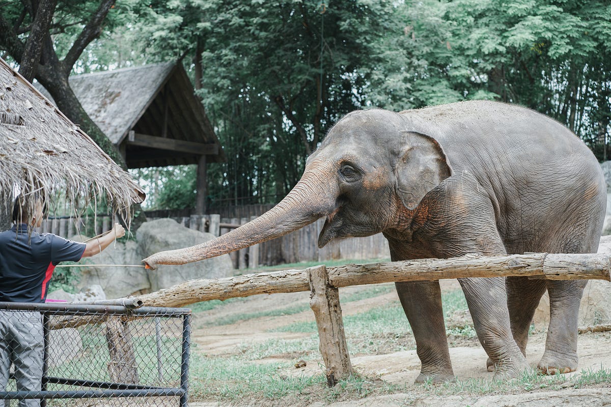 Deploying Zookeeper Cluster. This is a second article in our Running ...