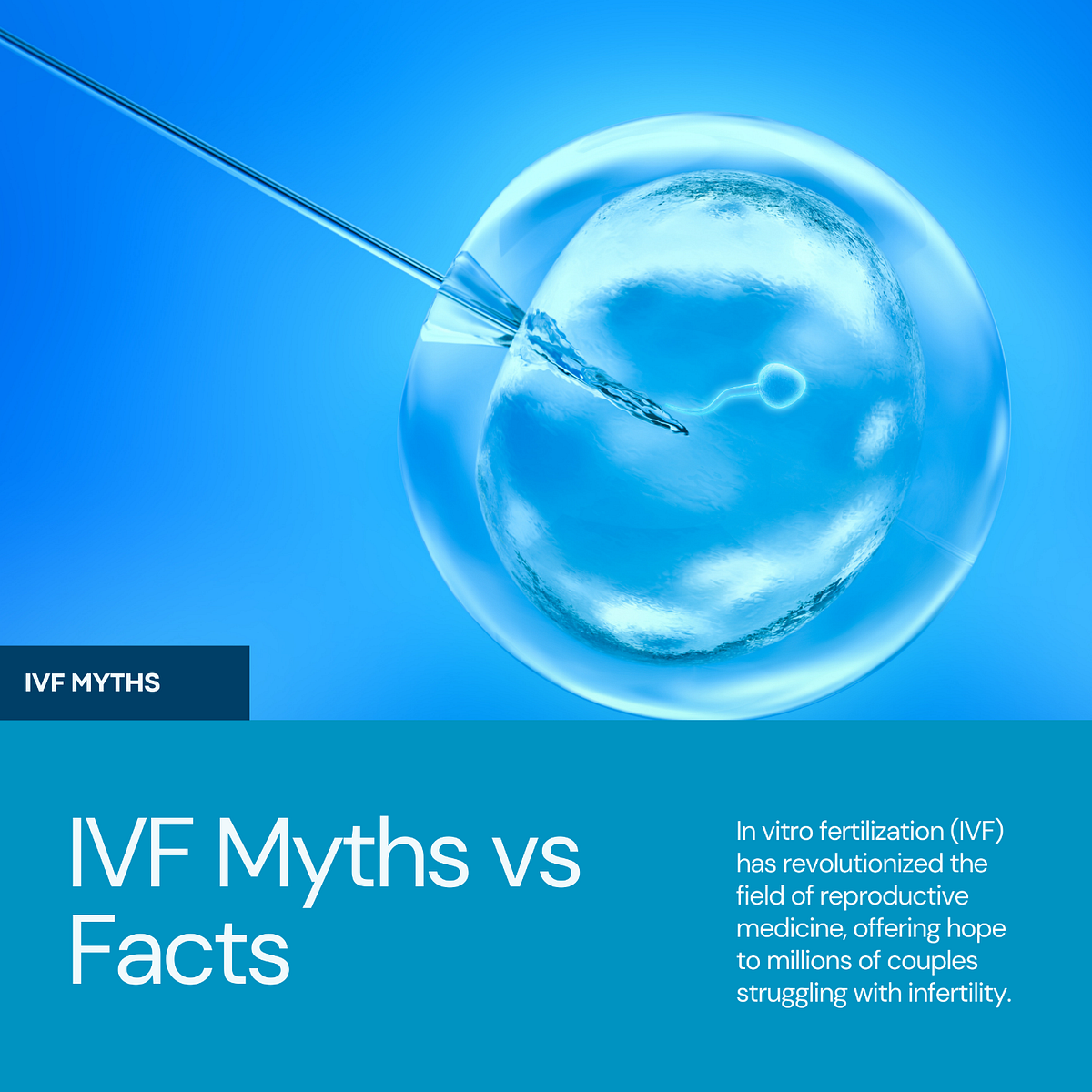 Myths and Misconception of IVF. In vitro fertilization (IVF) has… | by ...
