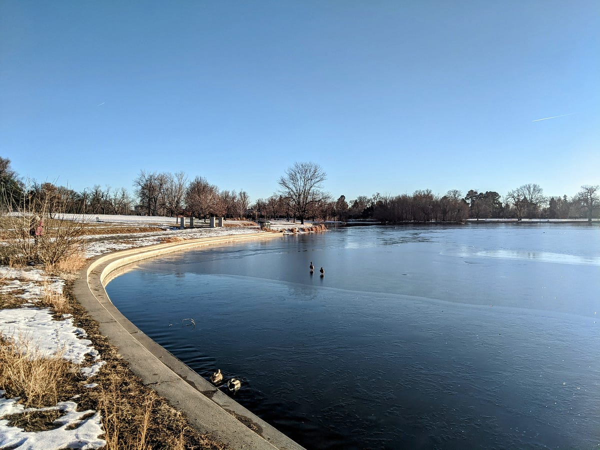 In 2024, Be Like Geese. Be Still, Envision, Then Take Action | by Vilma ...