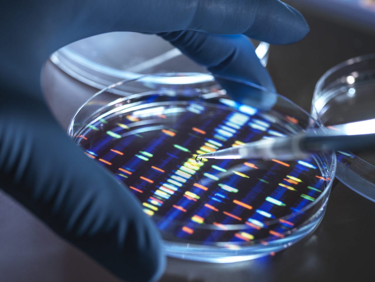 Forging Connections: Enhancing Collaboration between Forensic Science ...