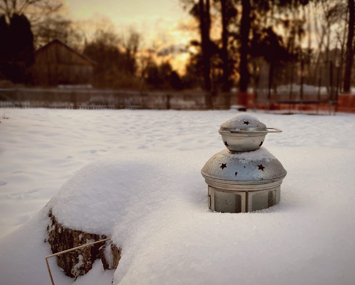 The Crystalline Magic of Snow - SNAPSHOTS - Medium