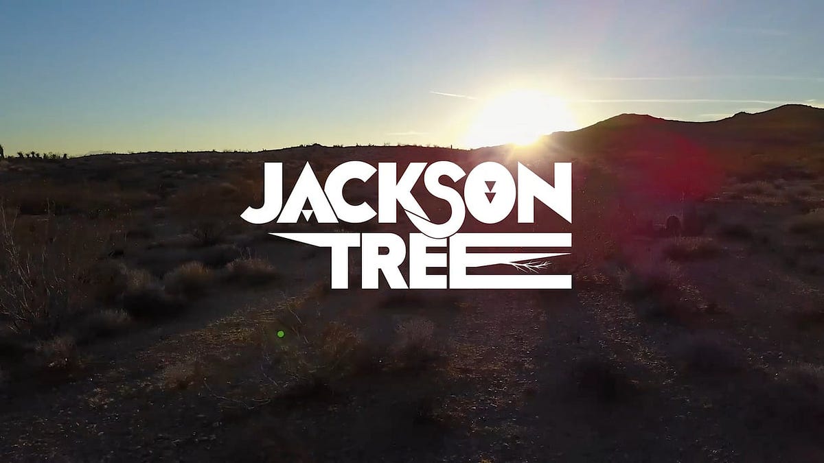 Jackson Tree Art Festival [Aerial Video] | by Mark Giles | Medium
