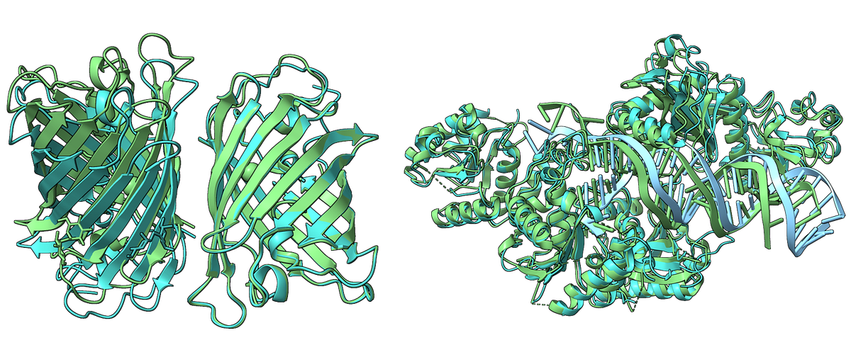 Boltz-1: Open-Source Biomolecular Interaction Modeling with Python and R code + Tool Playground ...