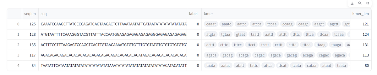 Demystifying Machine Learning with DNA Sequences: A Step-by-Step Guide ...