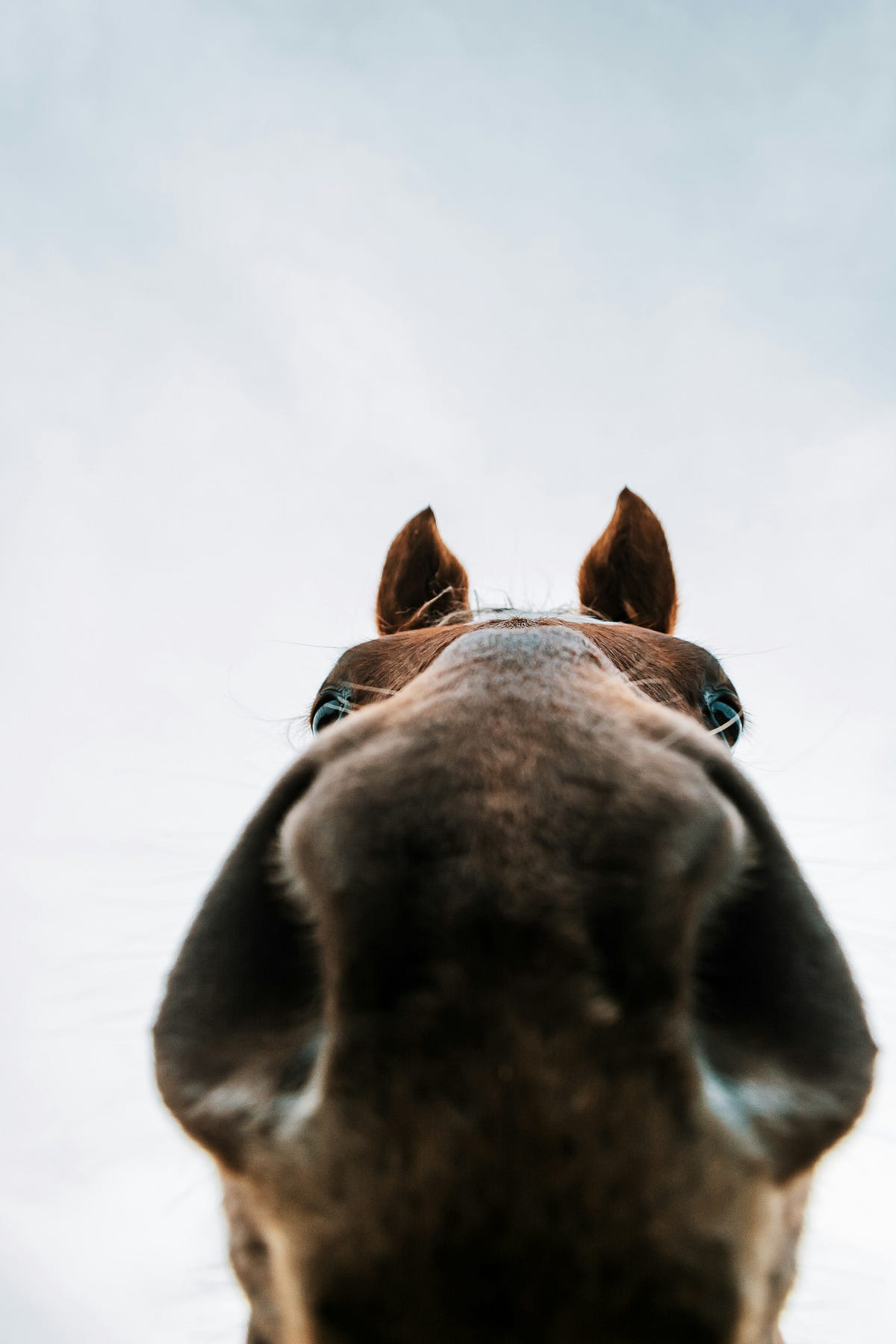 Did You Know…. 10 Creepy Greek Superstitions Still Followed Today | by ...