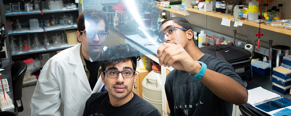A Journey In and Outside of Cells | by Cornell Research and Innovation ...