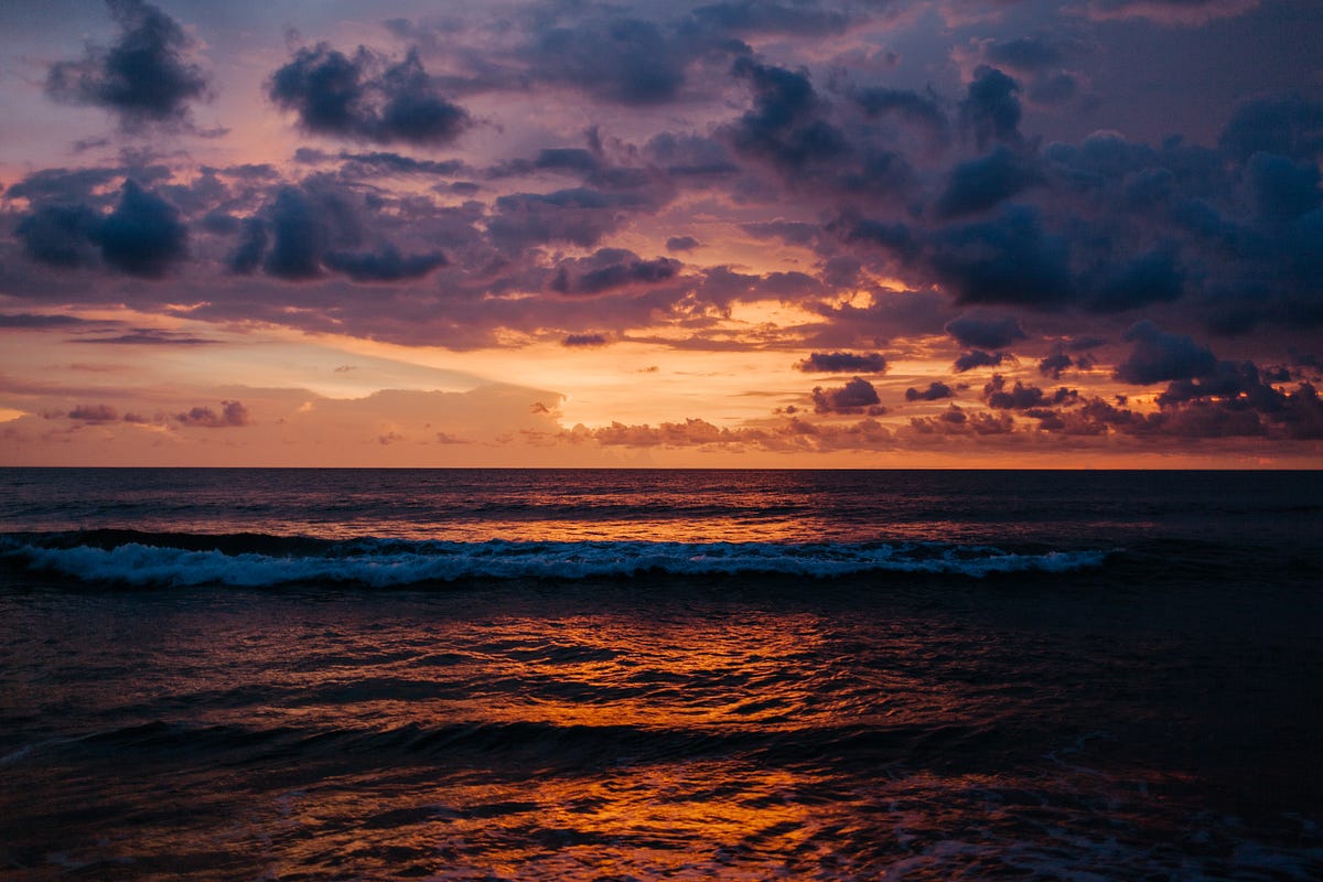 Human Nature. The natural and preternatural power of… | by David ...